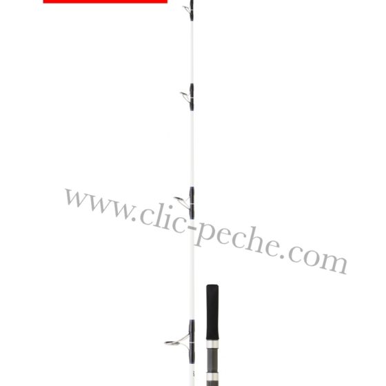 daiwa saltiga gt 85 - Clic-pêche.com